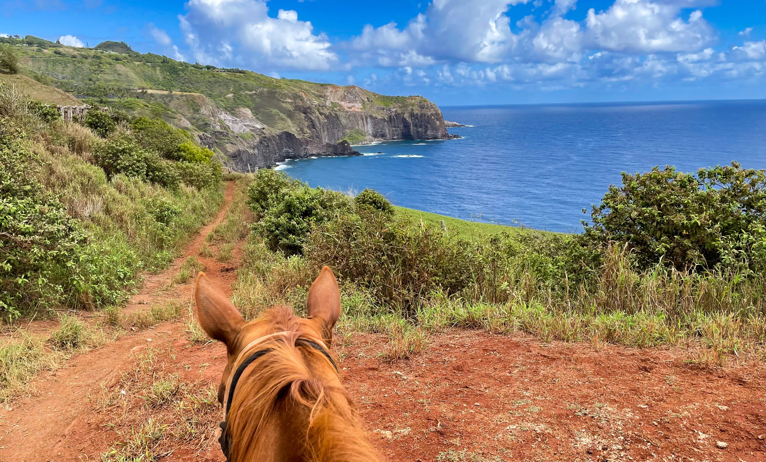 Best Horseback Riding Tour on the Cliffs in Hawaii - Nat Global Travels